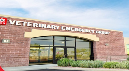 New Veterinary Emergency Group (VEG) Oro Valley Sells in Sale-Leaseback ...